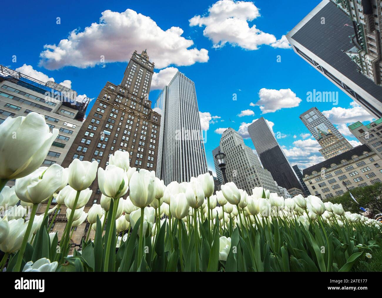 New York City Spring landscape, architecture NYC, USA Stock Photo - Alamy