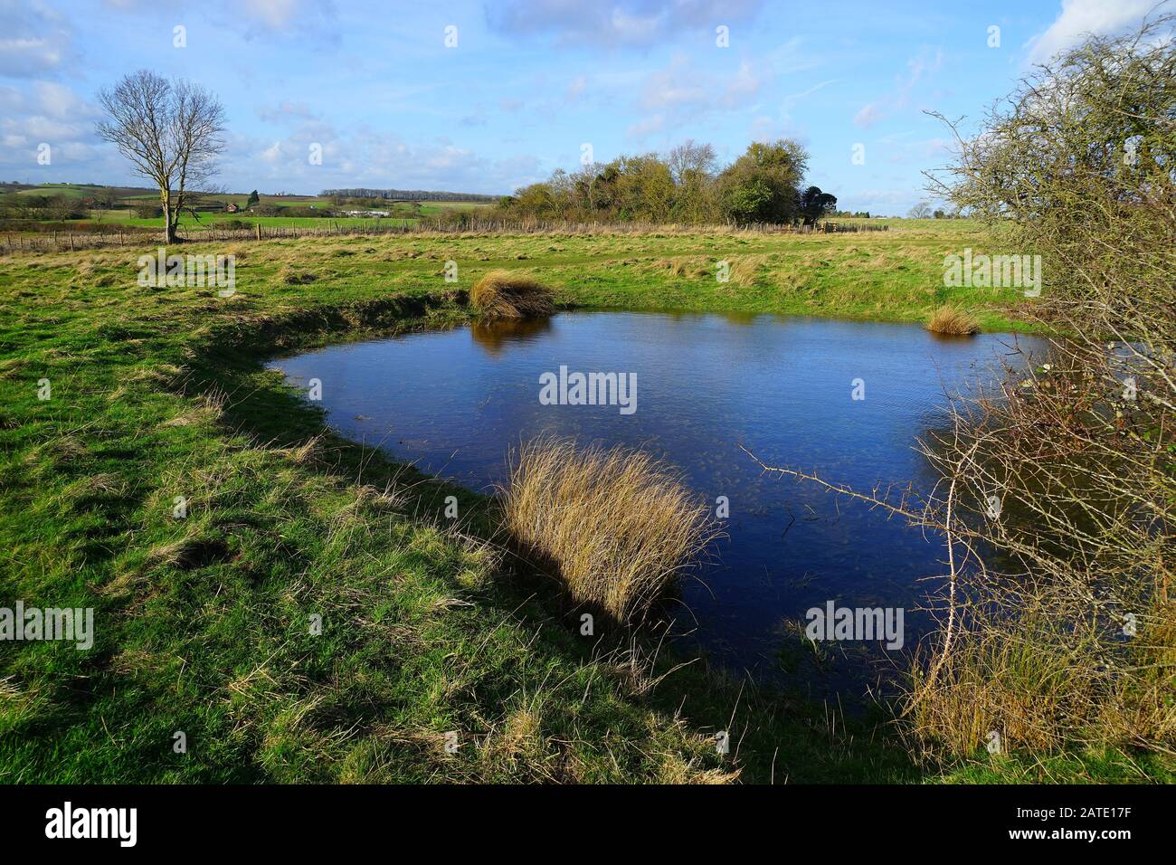 Maulden hi-res stock photography and images - Alamy