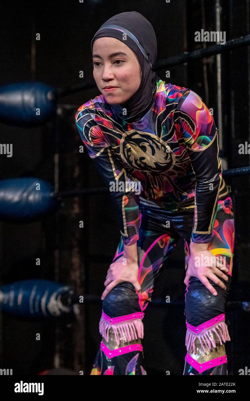 Women wrestling hi-res stock photography and images - Alamy