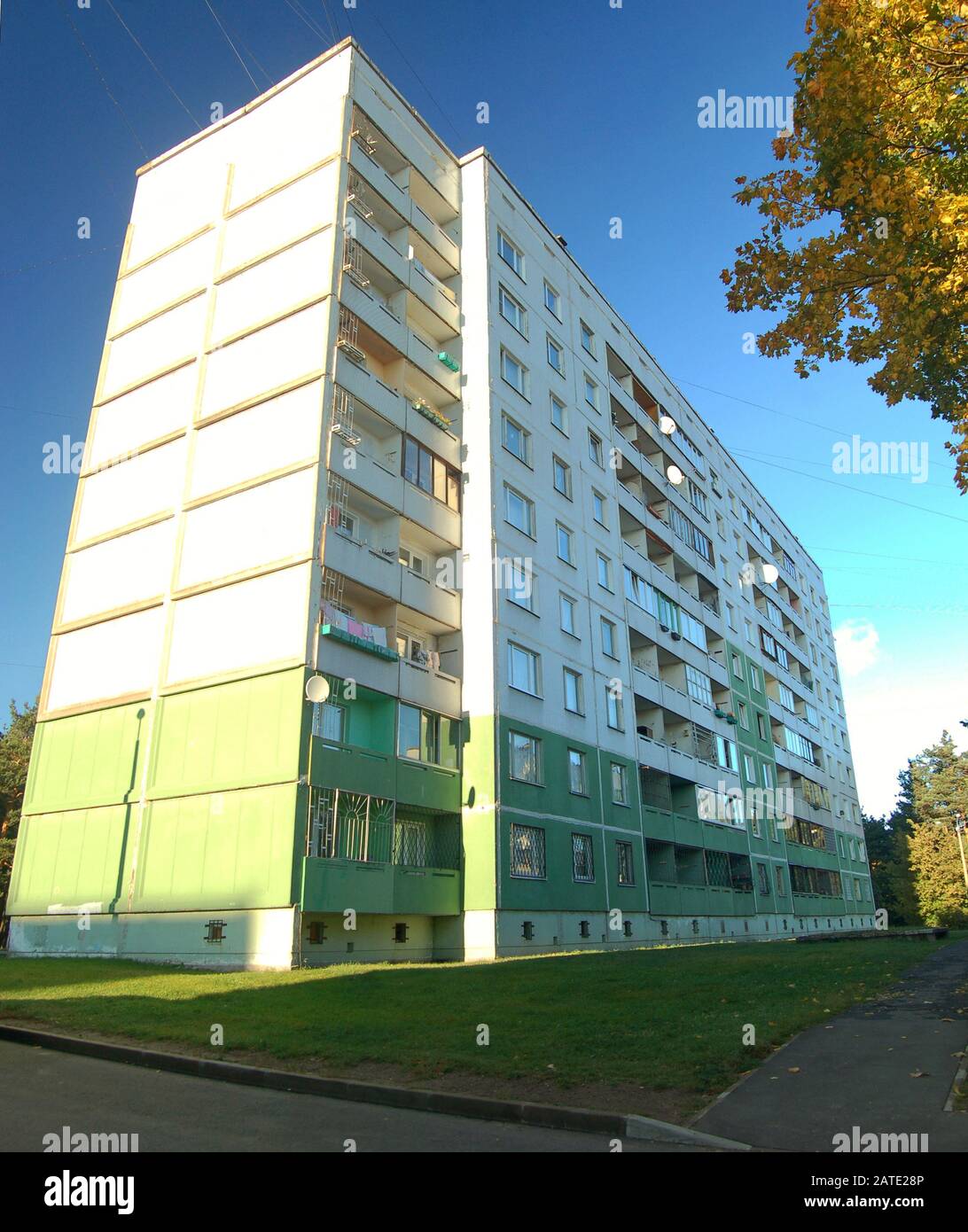 Vecmilgravis High Resolution Stock Photography and Images - Alamy