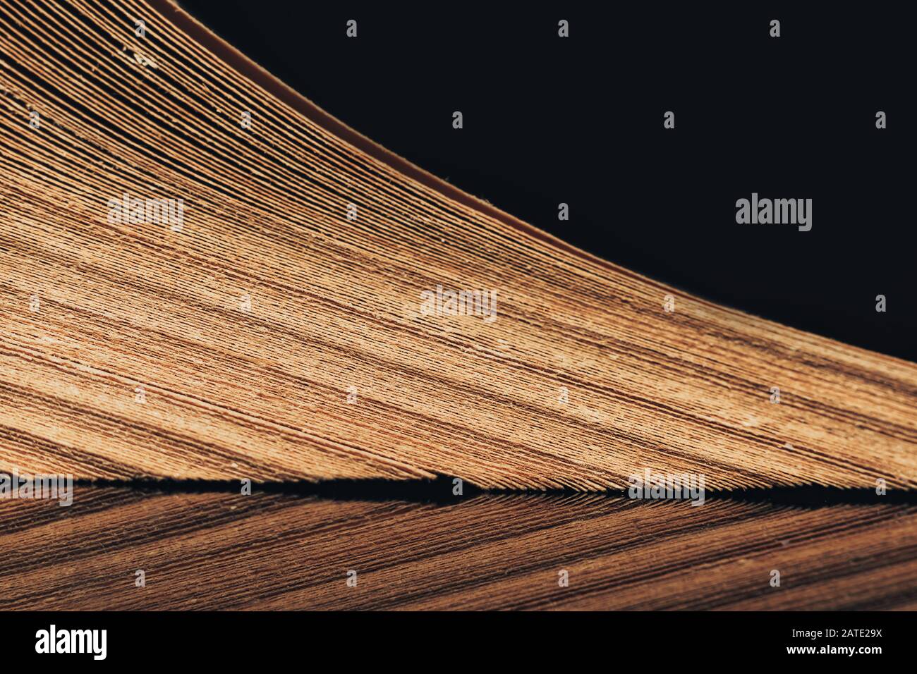 Close up beautiful ancient book pattern background for design. The book ...