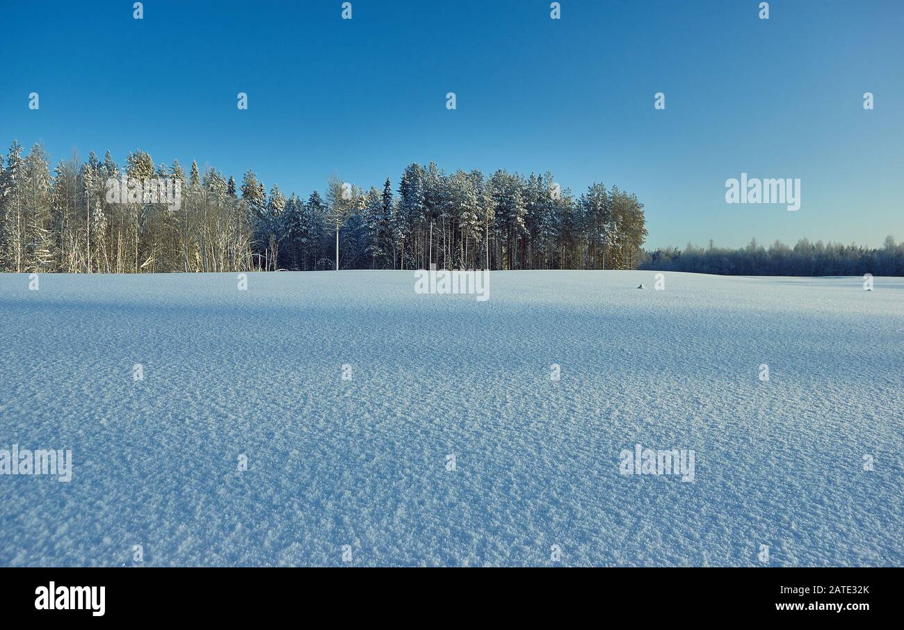 Beautiful winter landscape, snowy forest taiga, open space Stock Photo ...