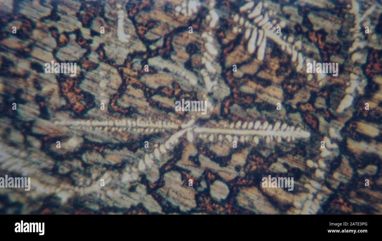 Dendrite micrograph hi-res stock photography and images - Alamy