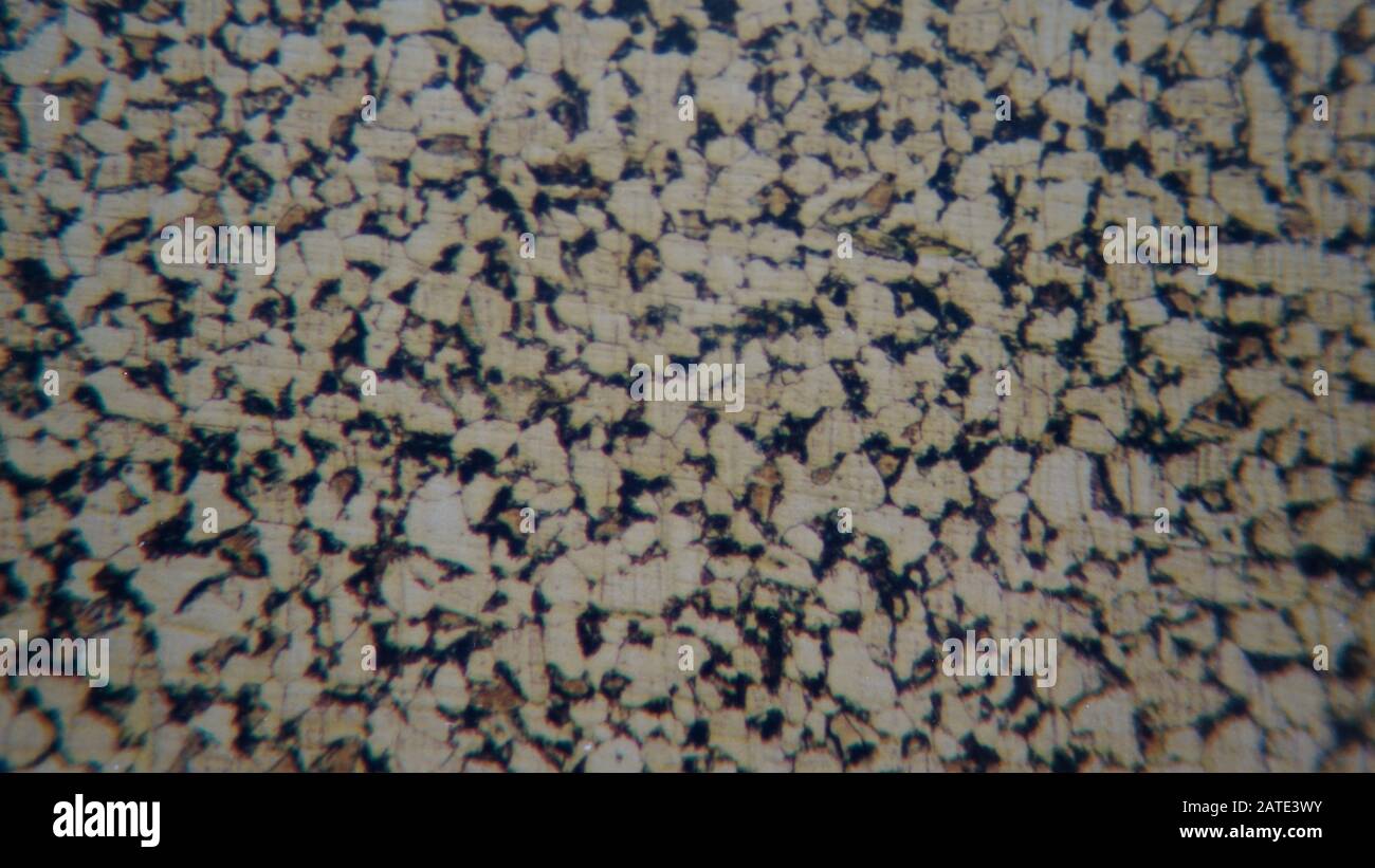 Transverse Section High Resolution Stock Photography and Images - Alamy