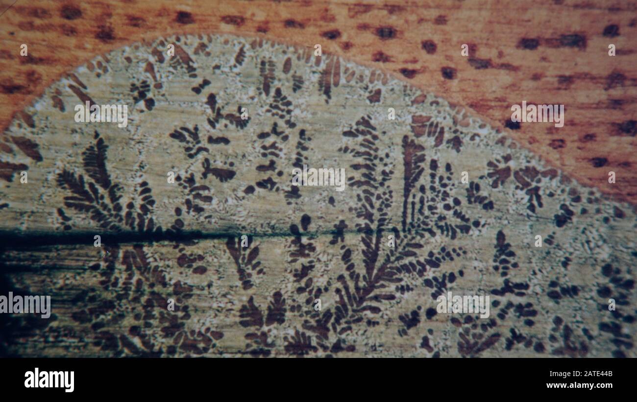 Micrograph metal hi-res stock photography and images - Alamy