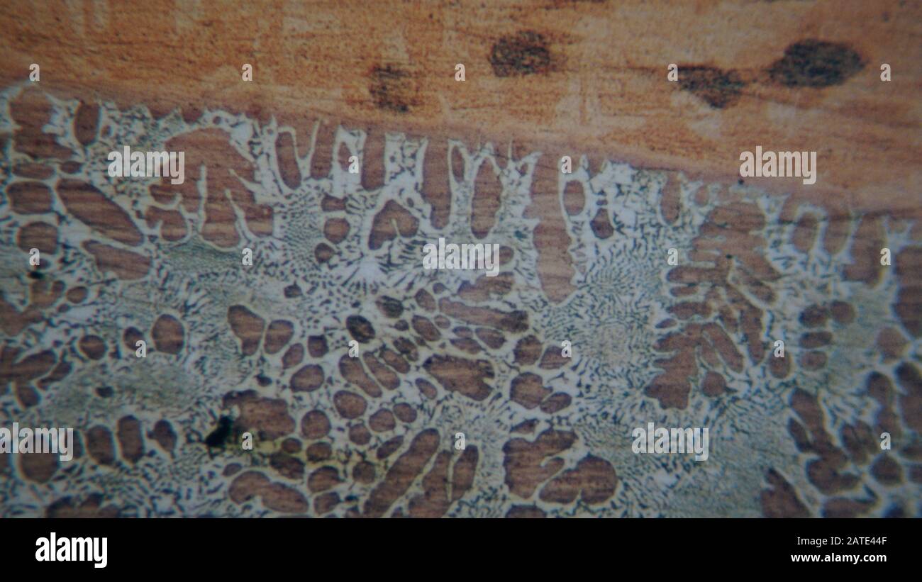 Micrograph Metal High Resolution Stock Photography and Images - Alamy