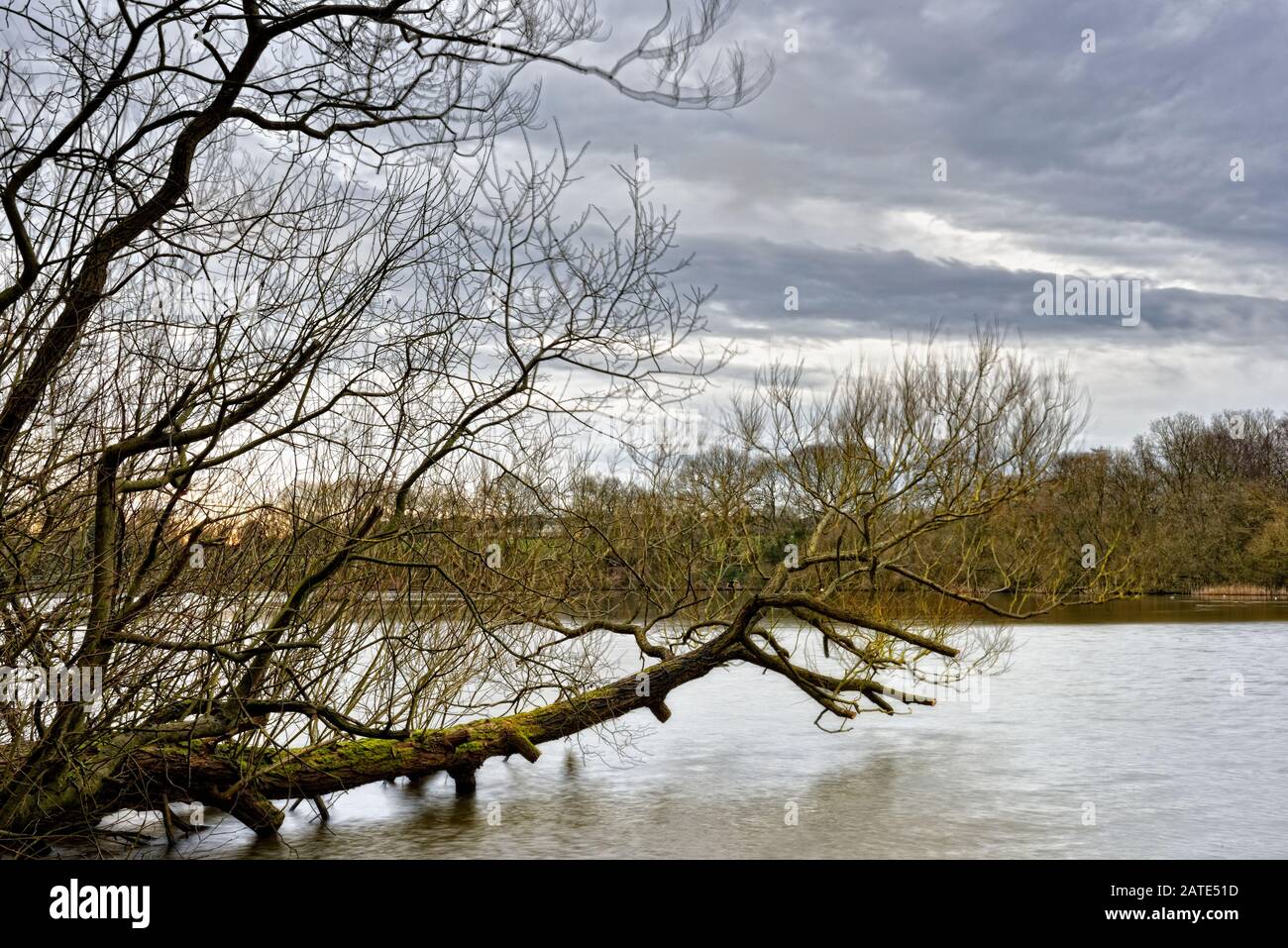 Mapperley reservoir hi-res stock photography and images - Alamy