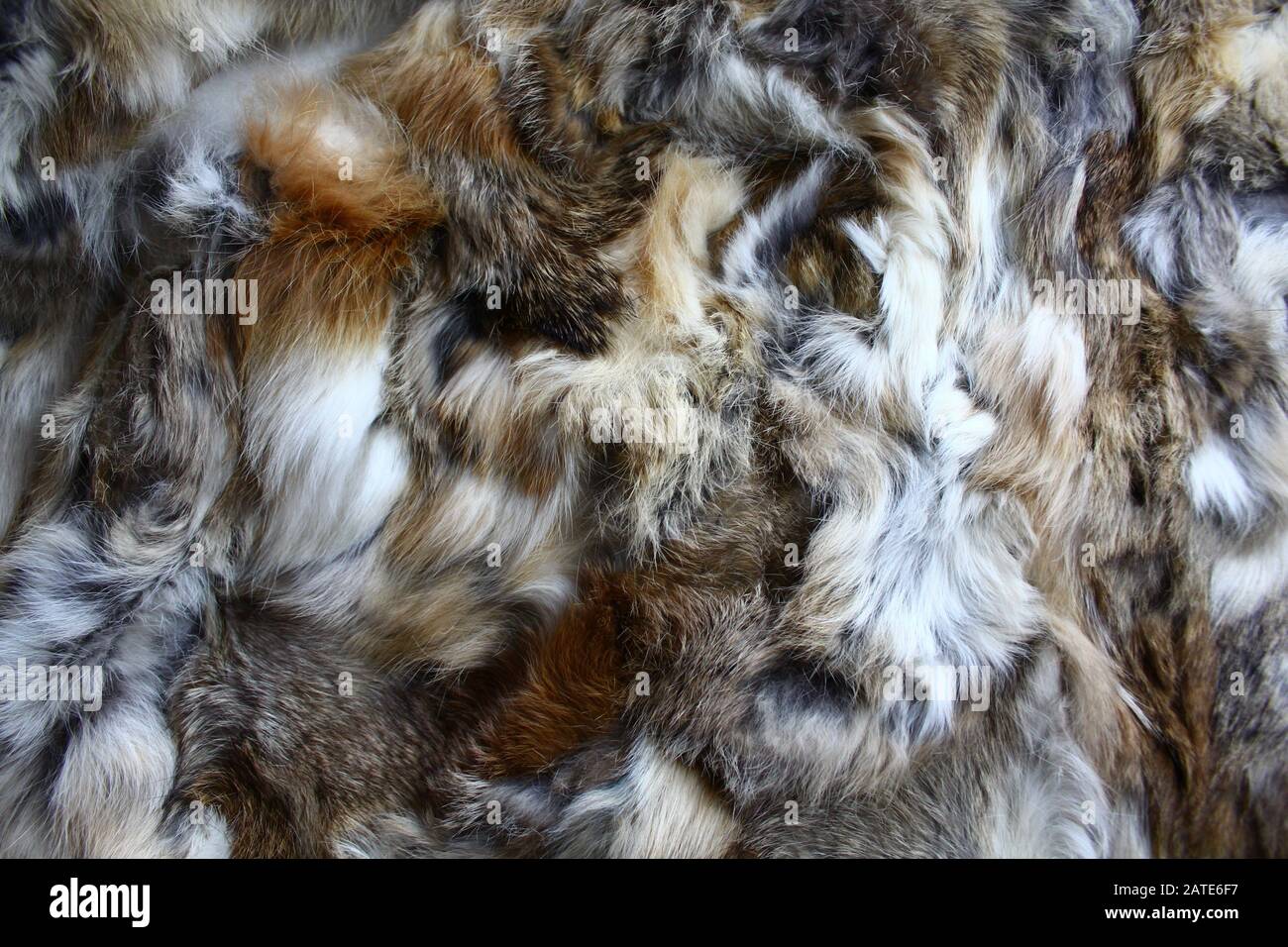 The picture shows a soft rabbit fur Stock Photo - Alamy