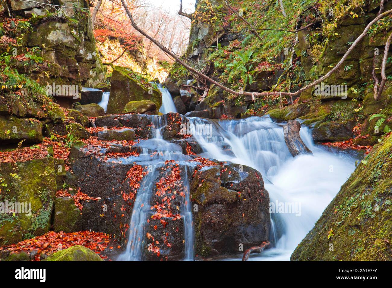 Oirase stream in autumn, Aomori, Tohoku, Japan Stock Photo - Alamy