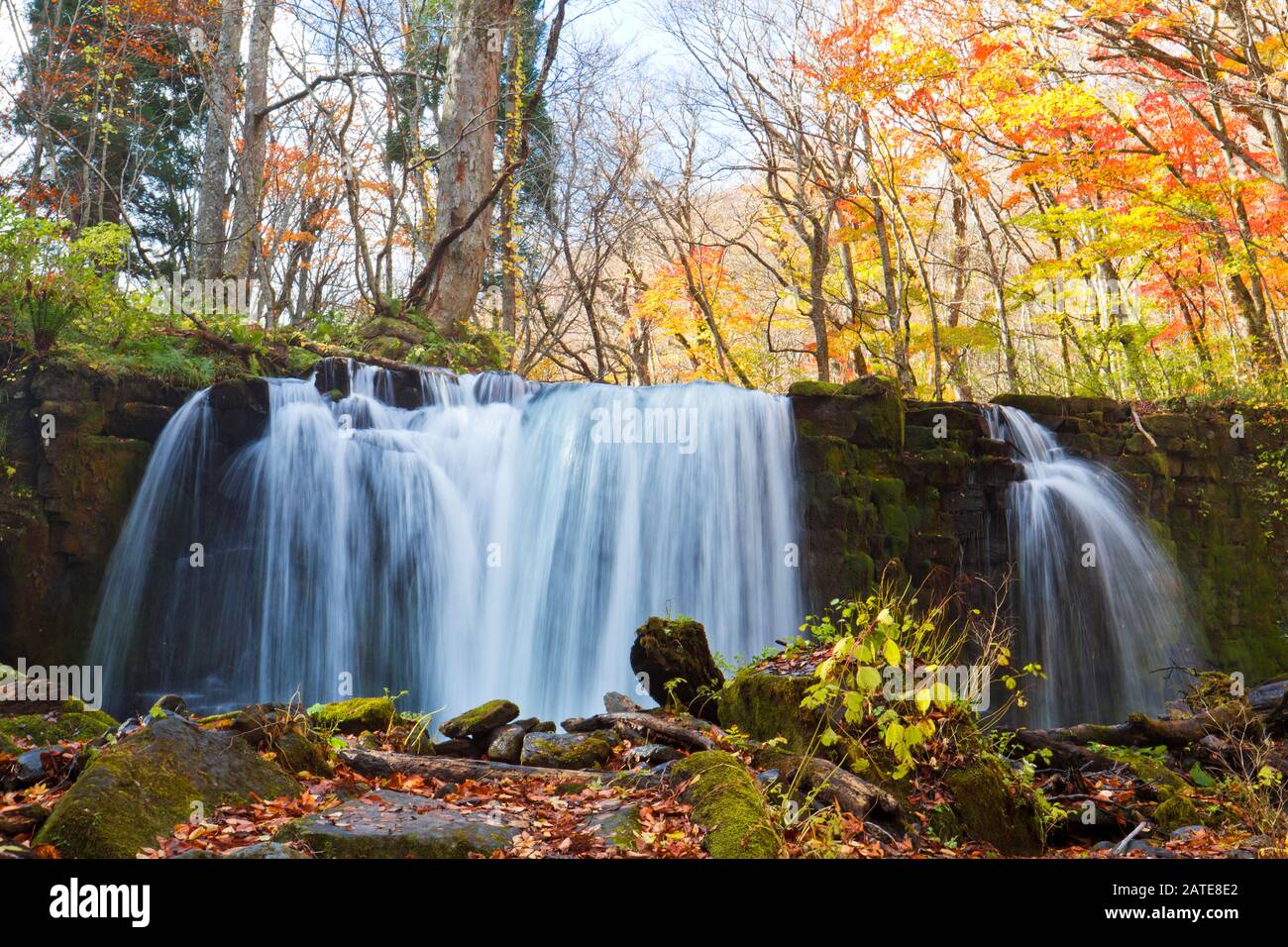 Choshi Waterfall in Oirase stream, Aomori, Tohoku, Japan Stock Photo ...