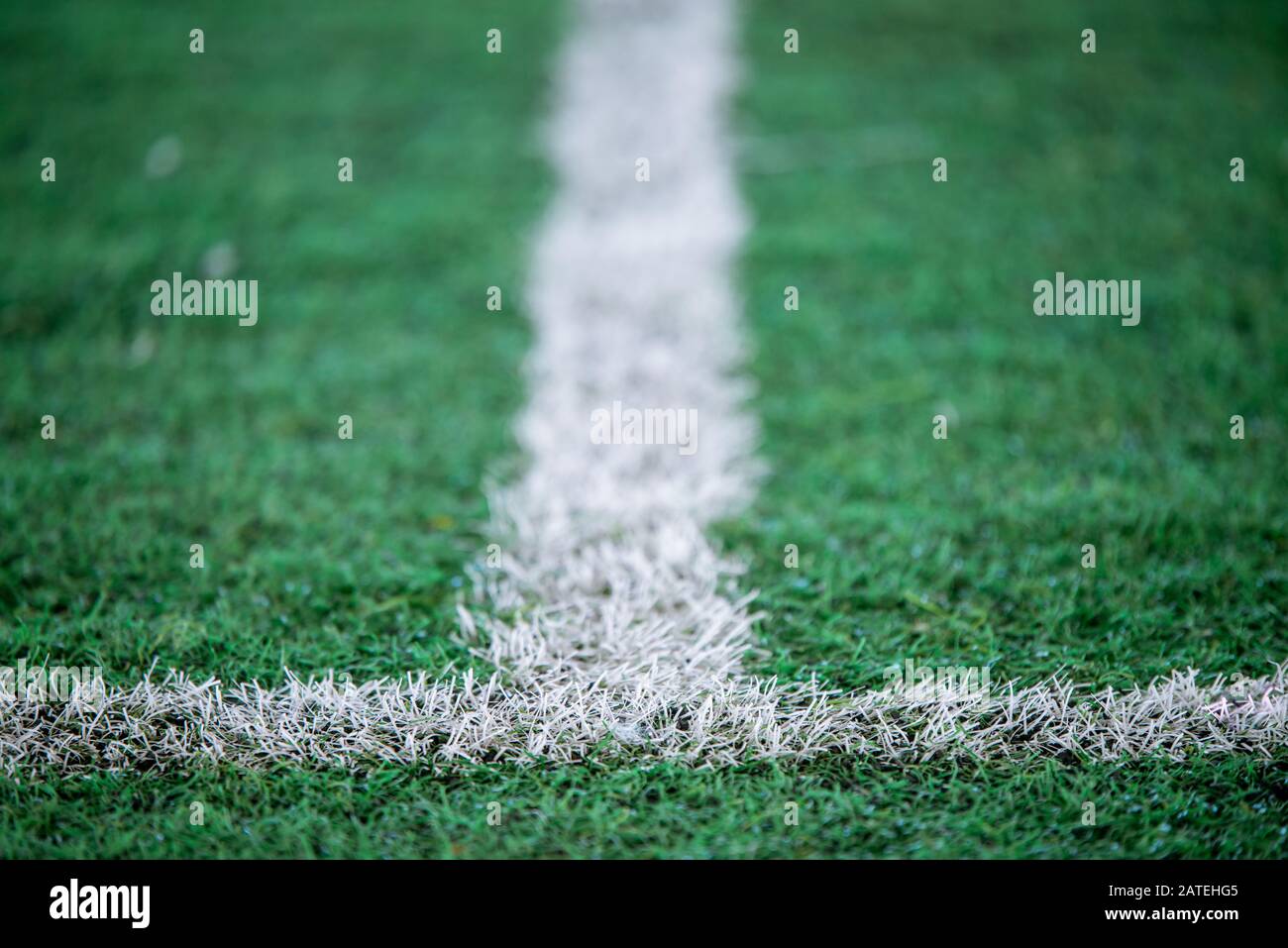 Football field with white line Stock Photo - Alamy