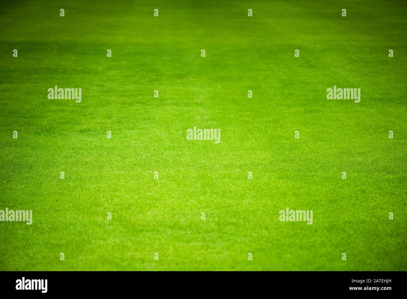 Grass of Sport Field Stock Photo - Alamy