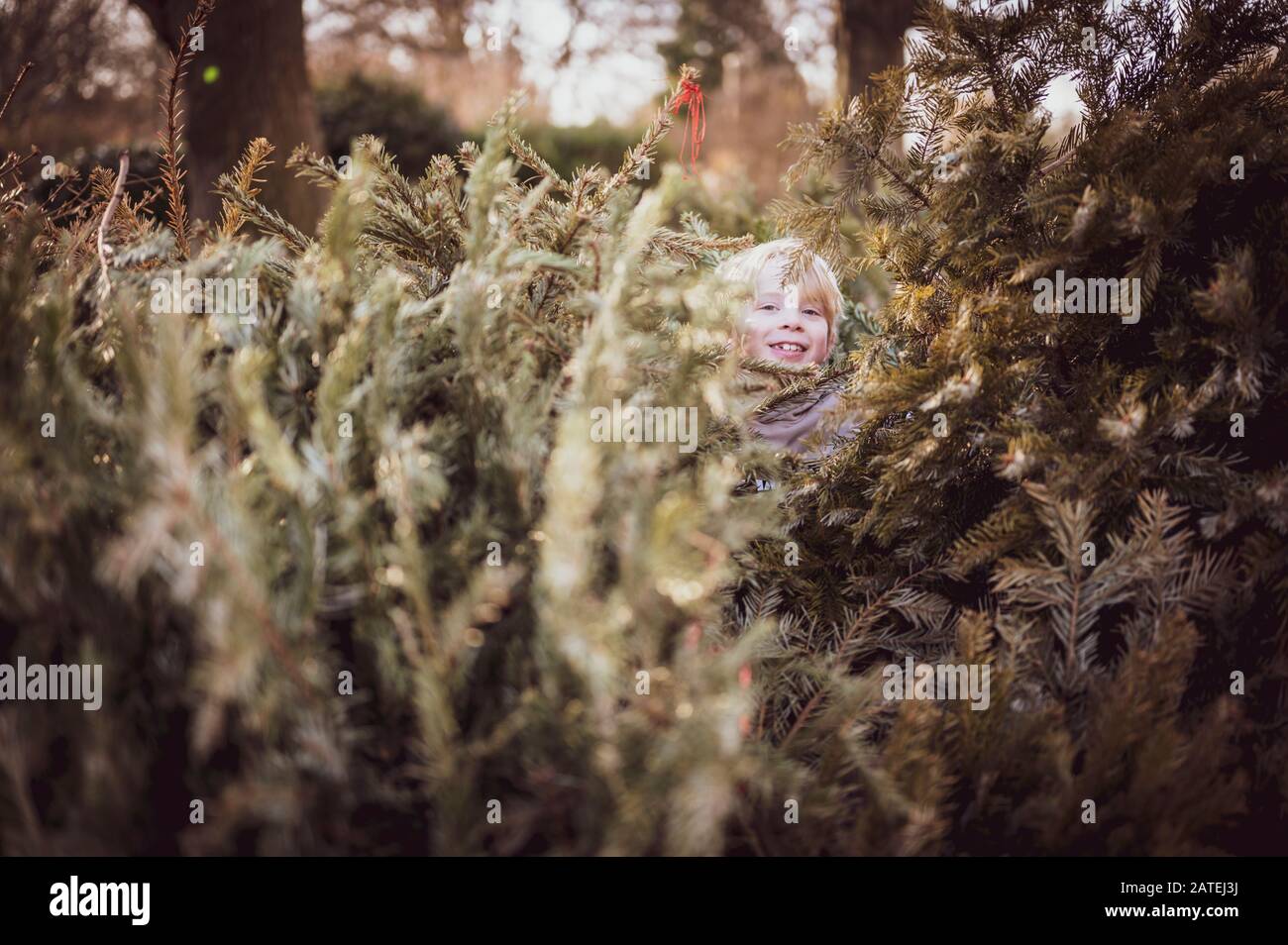 Children in xmas trees hi-res stock photography and images - Alamy