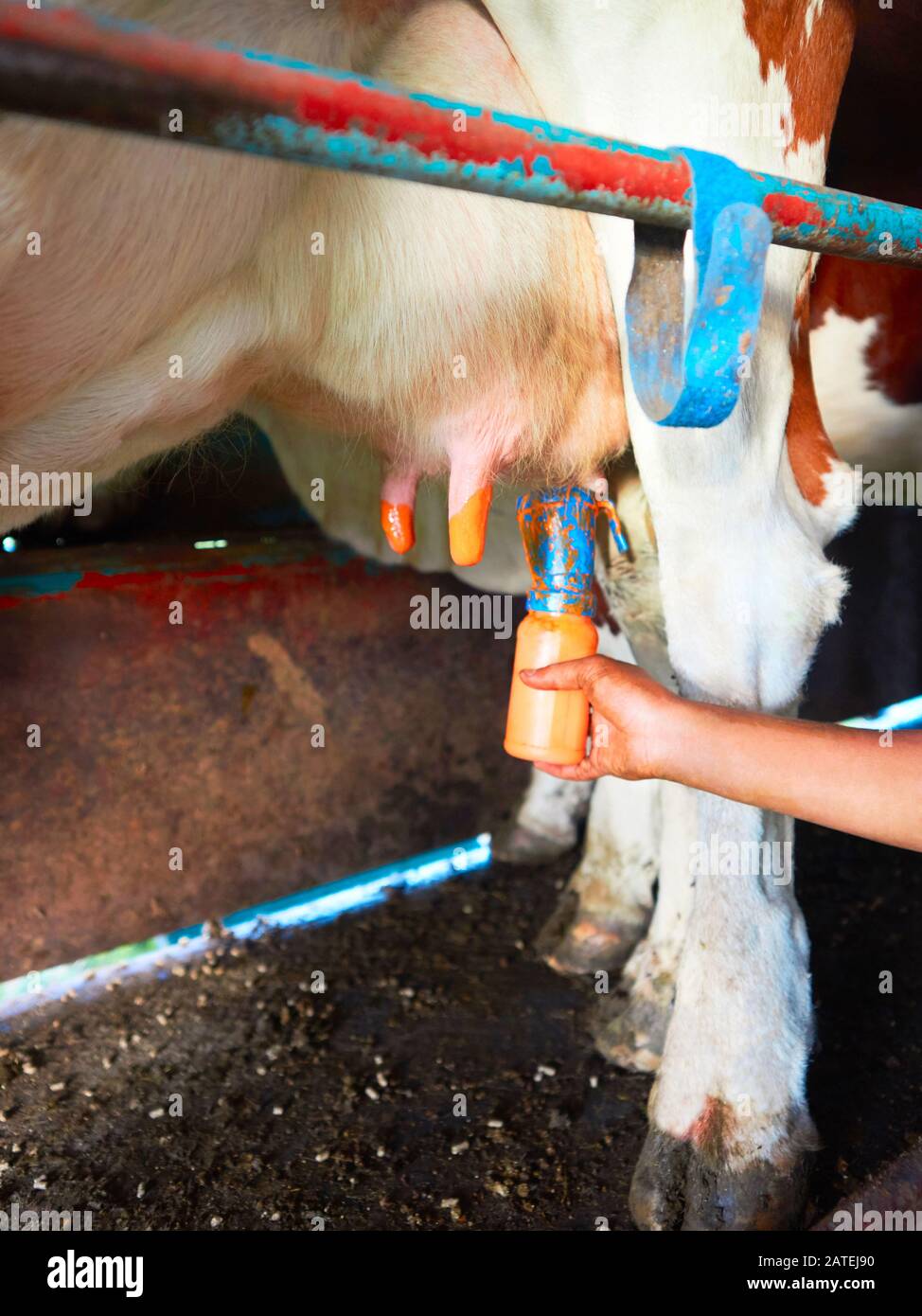 Utter hi-res stock photography and images - Alamy