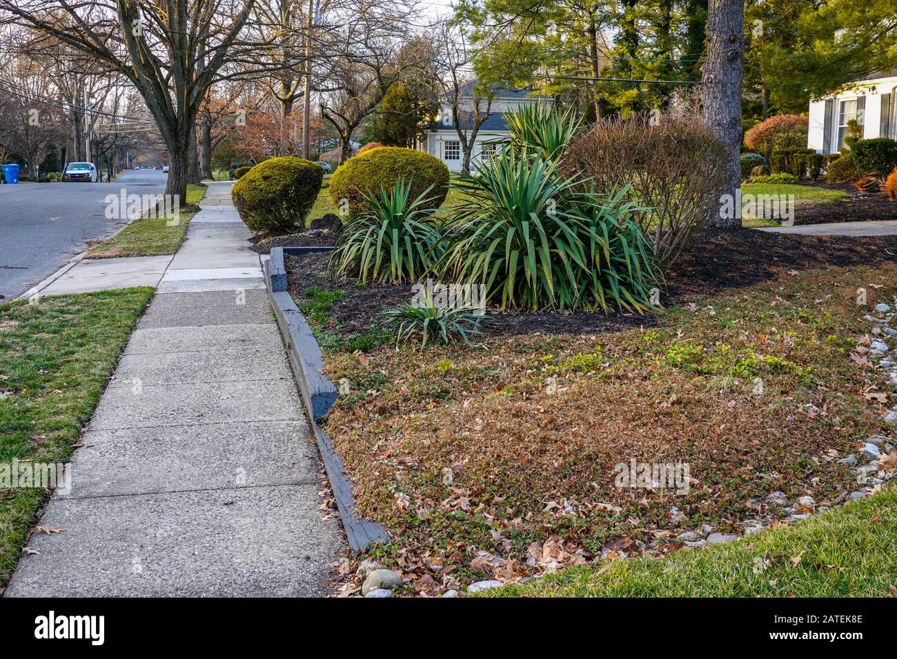 Front yard shrubs hi-res stock photography and images - Alamy