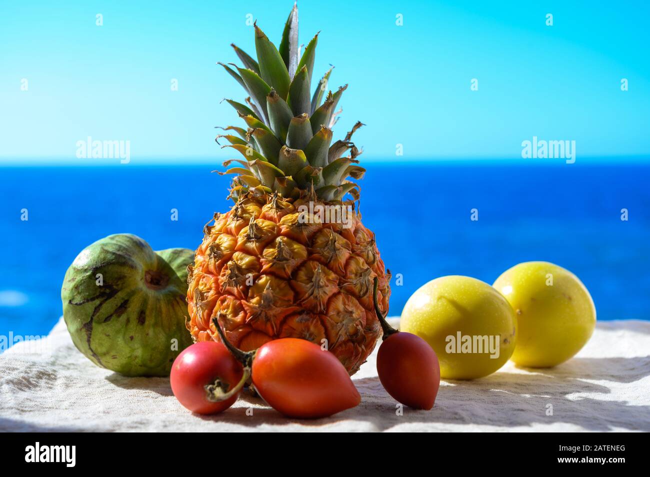 Tropical fruits collection, custard apple or green ripe cherymoia ...