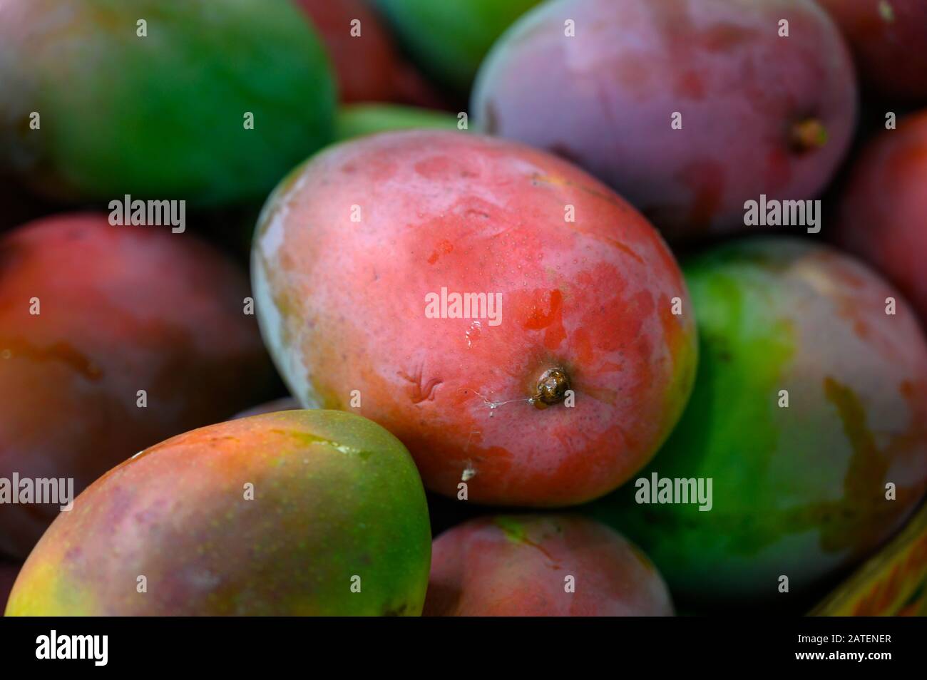 Fresh ripe sweet yellow mango fruits close up Stock Photo - Alamy