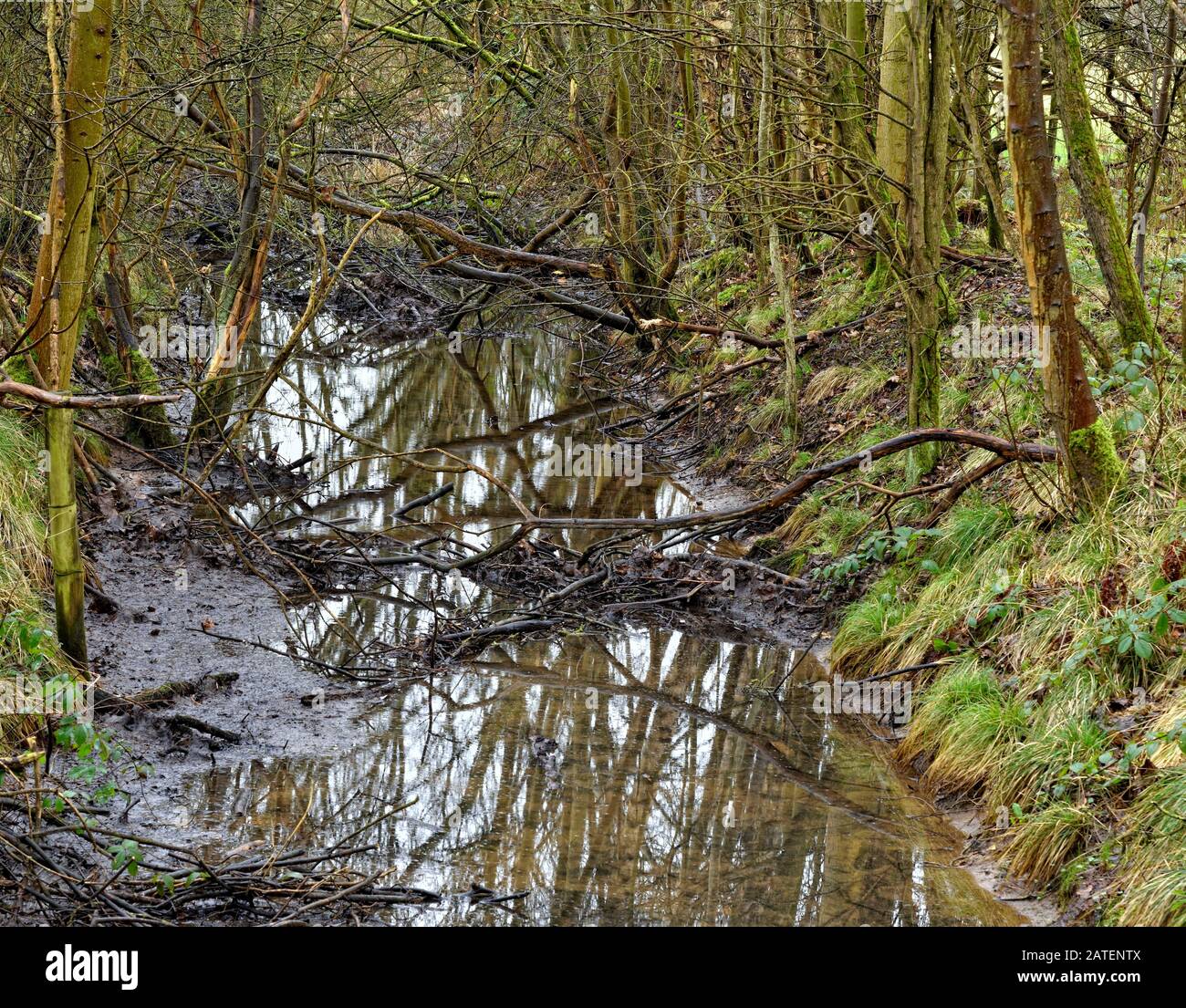 Mapperley hi-res stock photography and images - Alamy