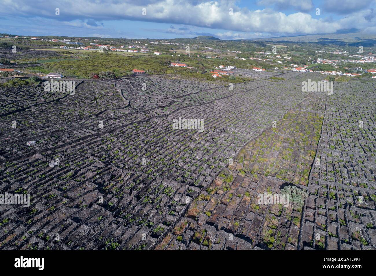 Aerial view of the vineyard on Pico Island, Pico Island, Acores Stock ...