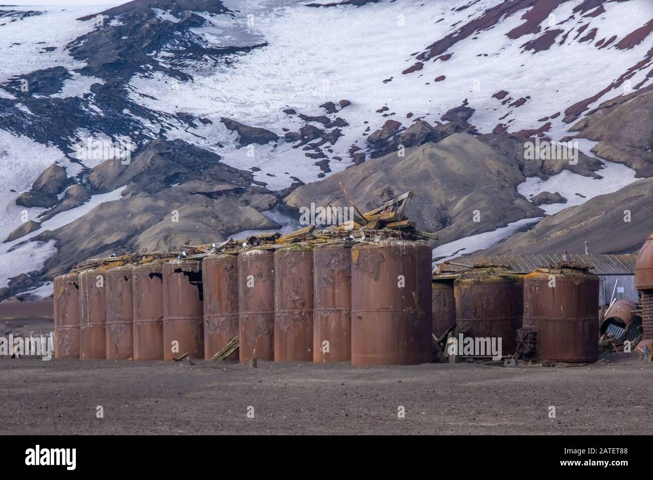 Ruined remains of a historical whaling station destroyed by a volcano ...