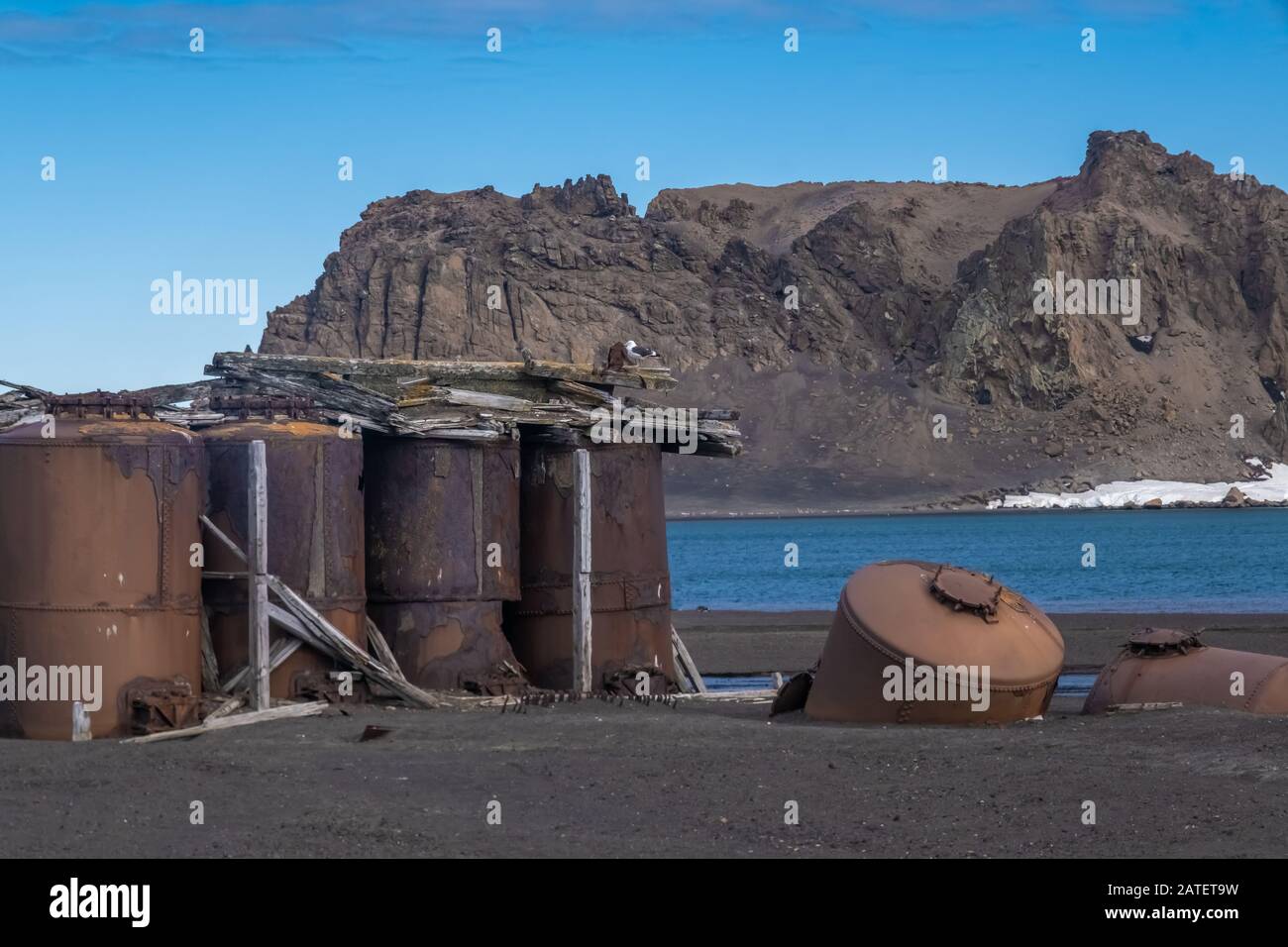 Ruined remains of a historical whaling station destroyed by a volcano ...