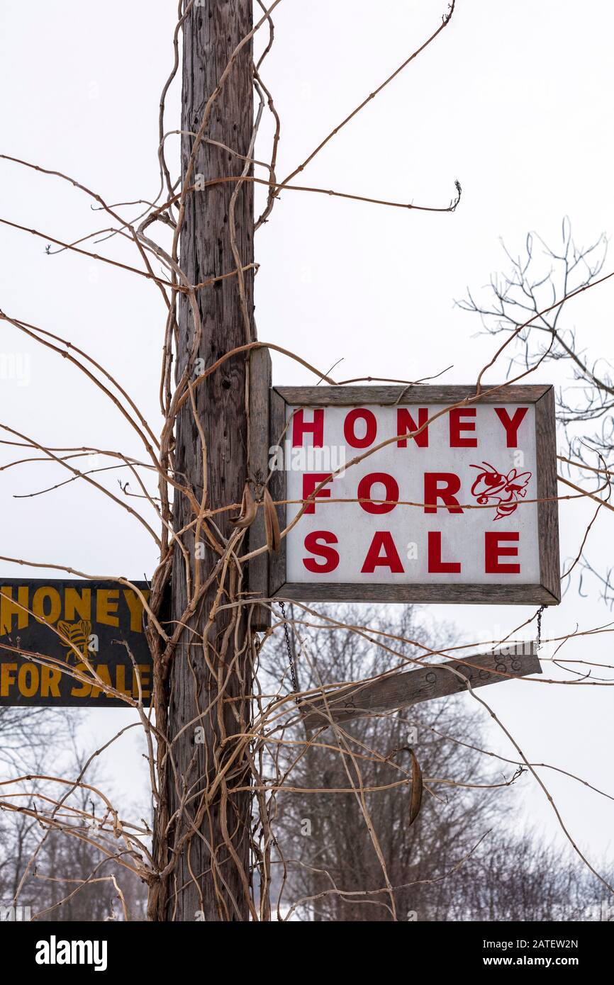 "Honey for Sale" signs, E USA, by James D Coppinger/Dembinsky Photo ...