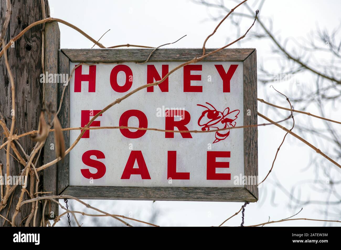 "Honey for Sale" signs, E USA, by James D Coppinger/Dembinsky Photo ...