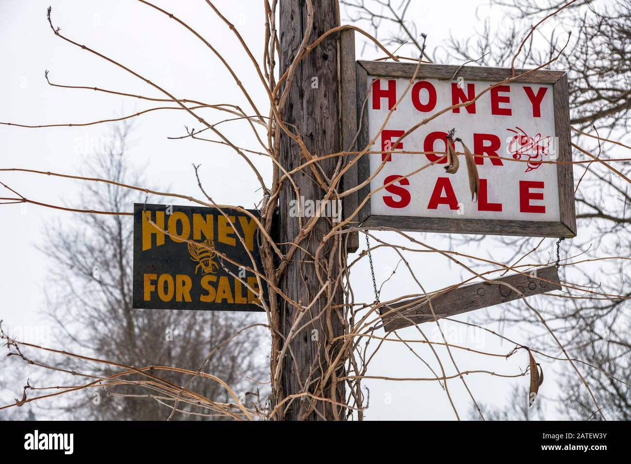 "Honey for Sale" signs, E USA, by James D Coppinger/Dembinsky Photo ...
