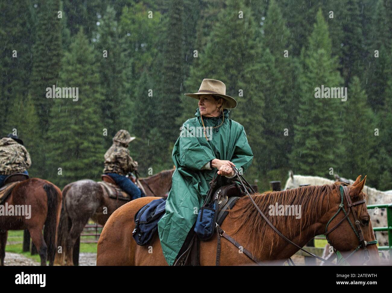 Horse Riding in Montana, USA Stock Photo - Alamy