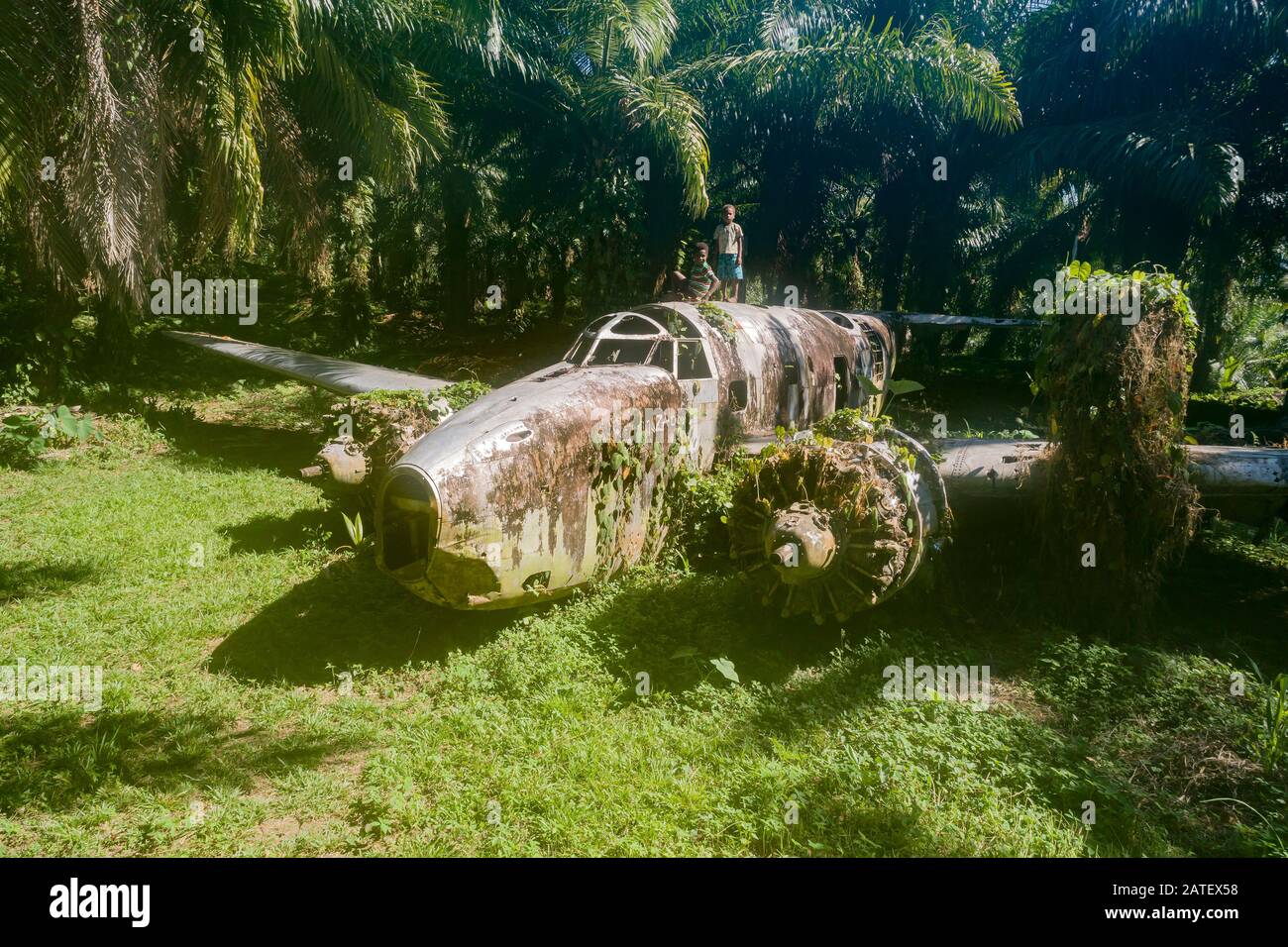 Arial View of airplane wreck in Oil palm plantation, Kimbe, New britain ...