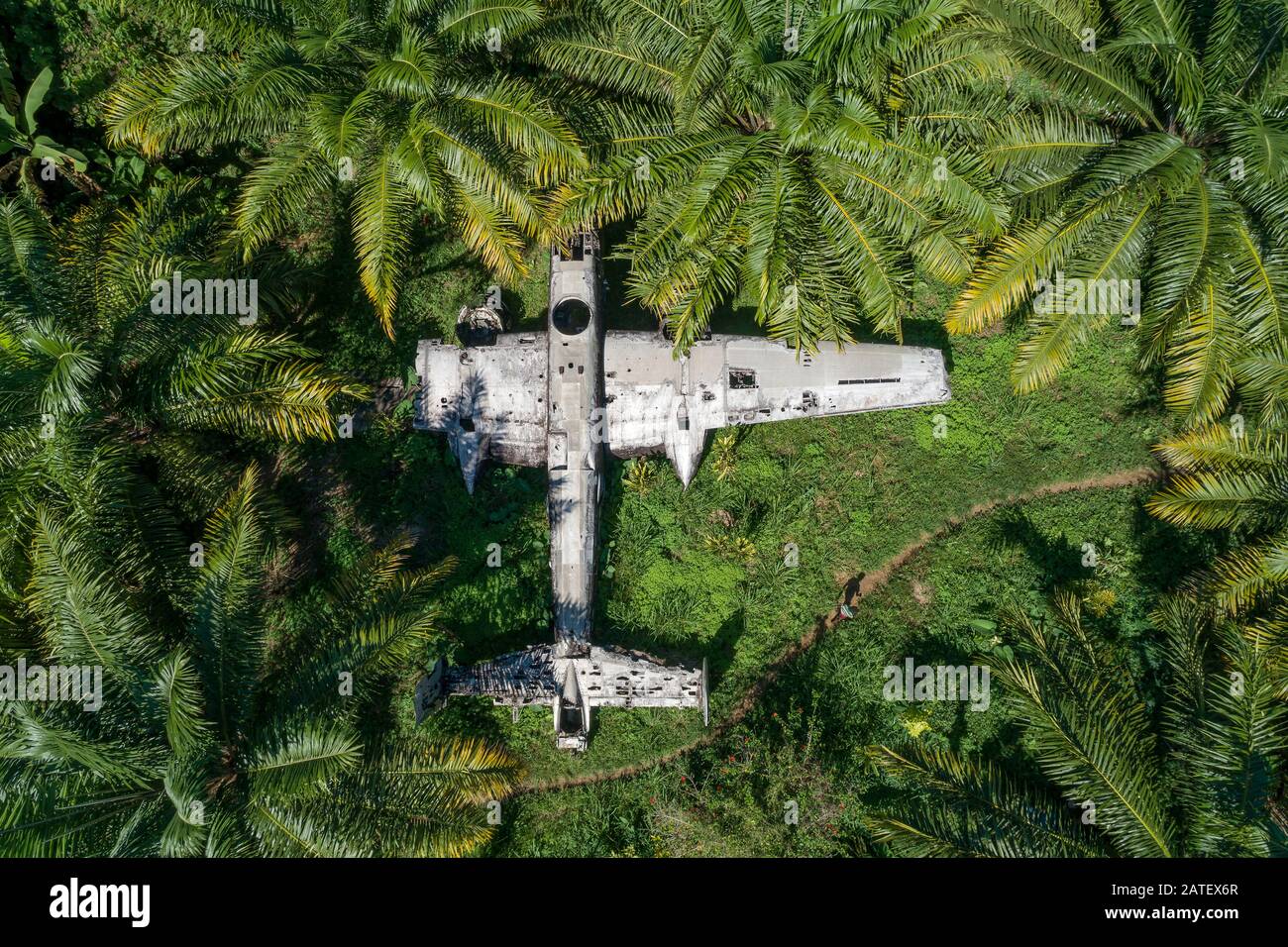 Arial View of airplane wreck in Oil palm plantation, Kimbe, New britain ...