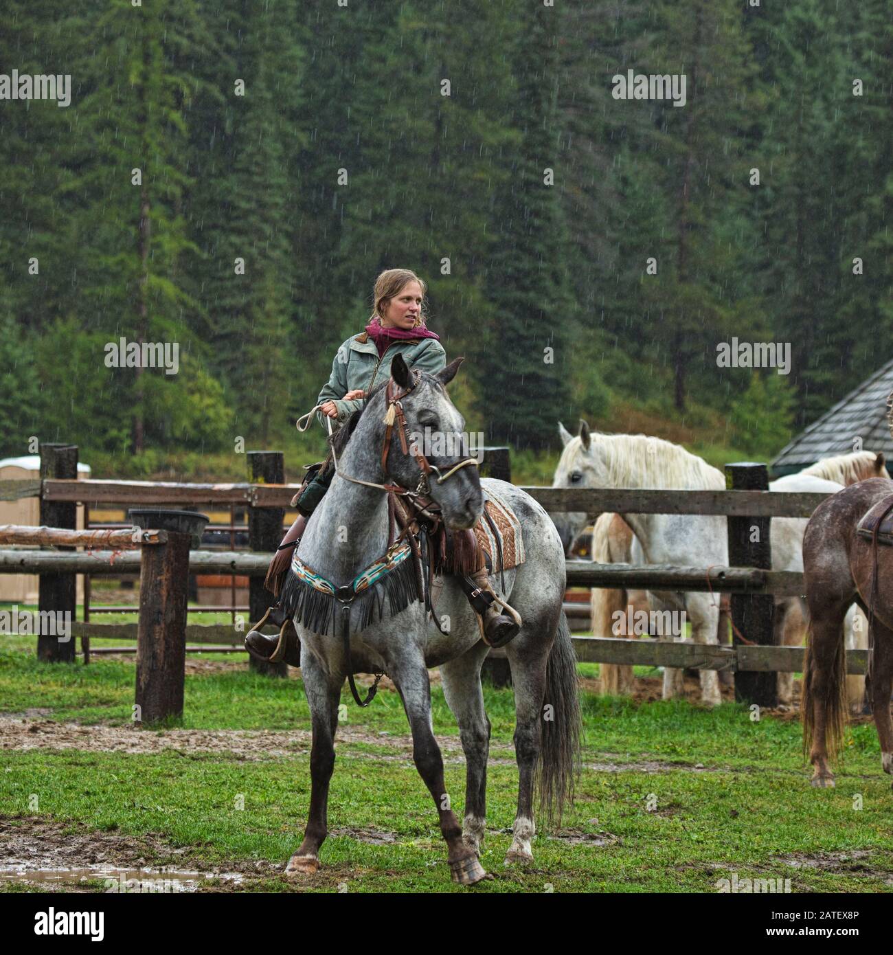 Women riding horseback rider hi-res stock photography and images - Alamy