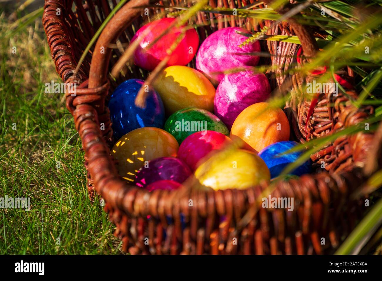 Close-up of Easter eggs in various colors in wicker basket on grass in ...