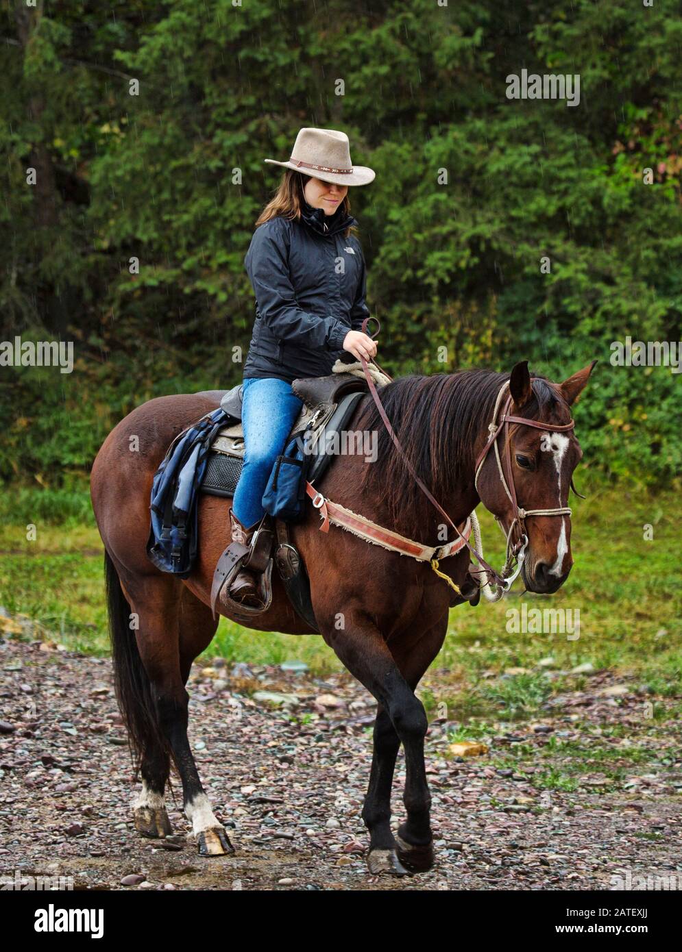 Horse Riding in Montana, USA Stock Photo - Alamy