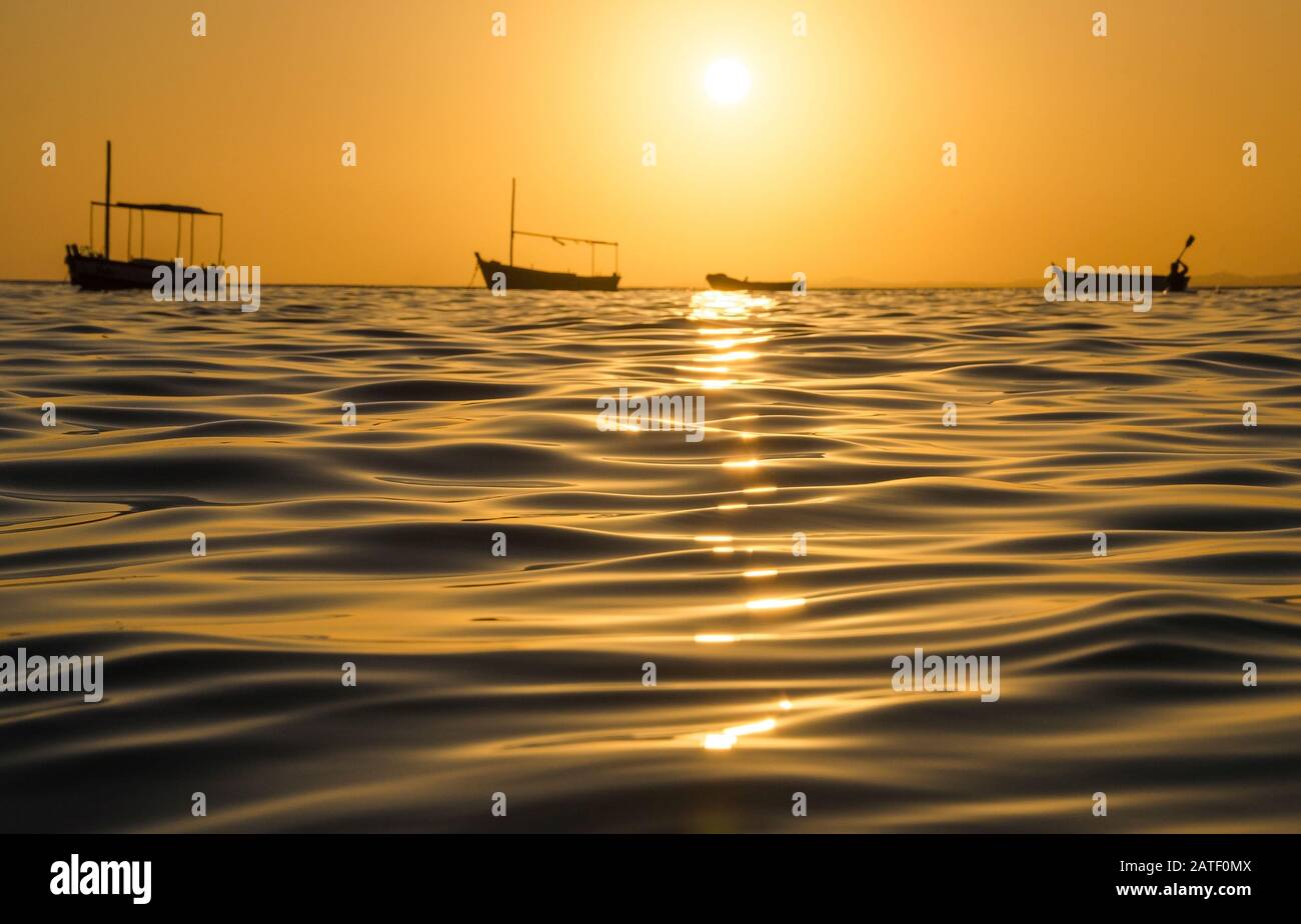 Velvet gold sea with boats- background sunset view, Salvador, Brazil ...
