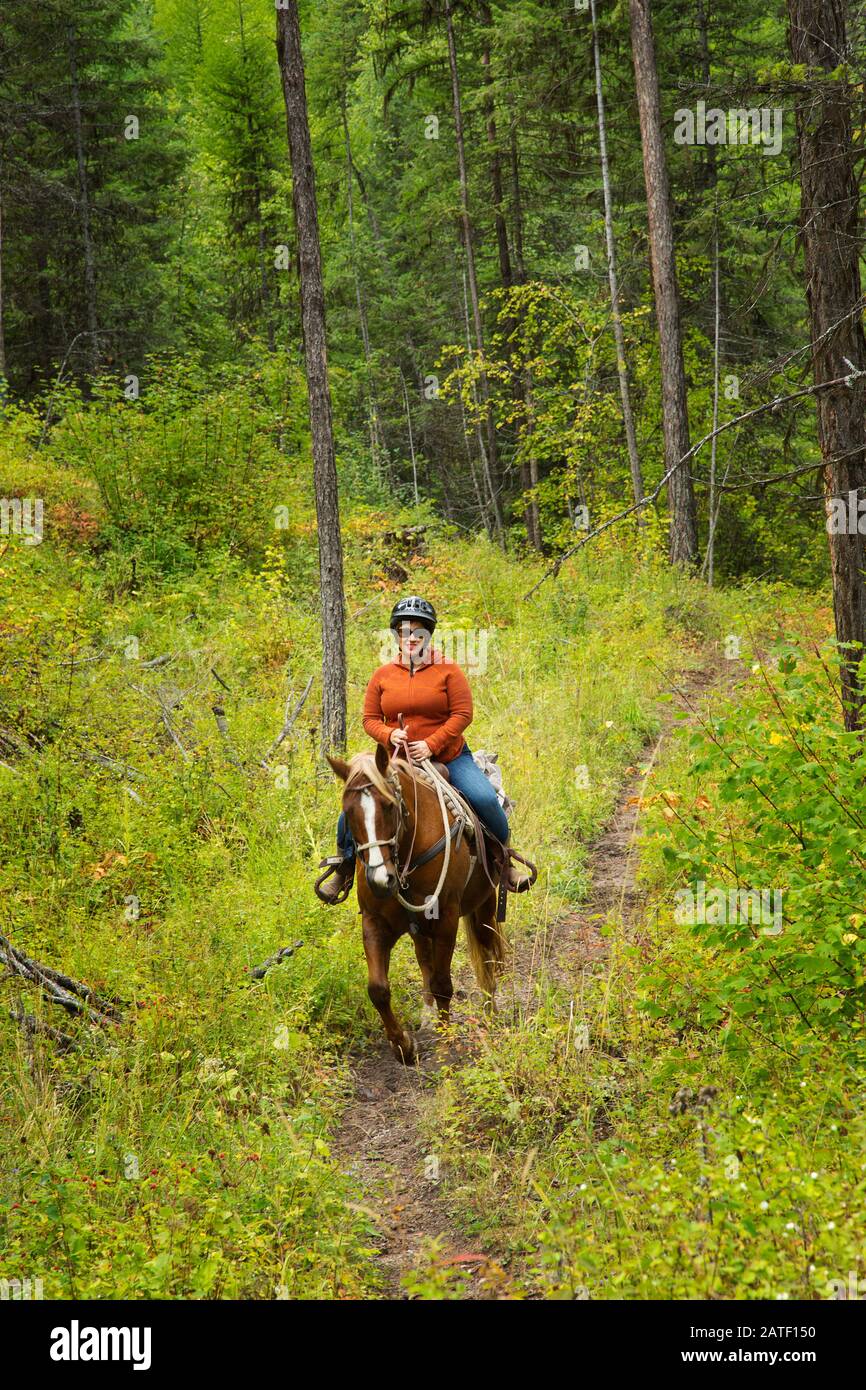 Horse Riding in Montana, USA Stock Photo - Alamy