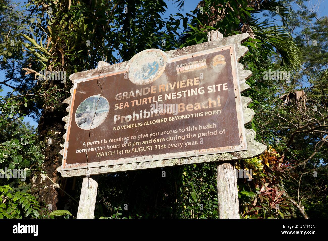 Turtle nesting beach, Grand Riviere, Trinidad and Tobago Stock Photo ...