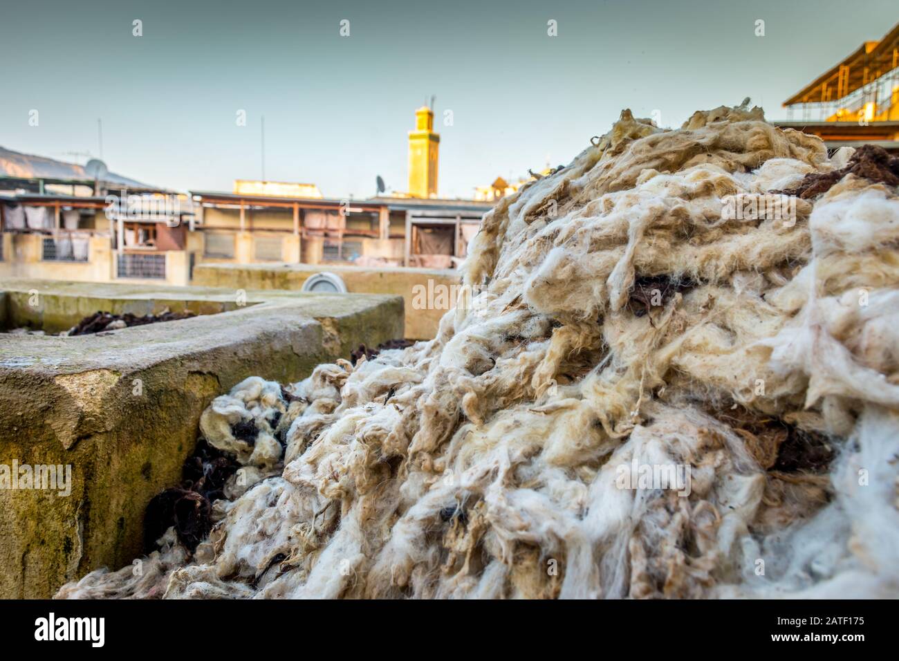 Wool production hi-res stock photography and images - Alamy