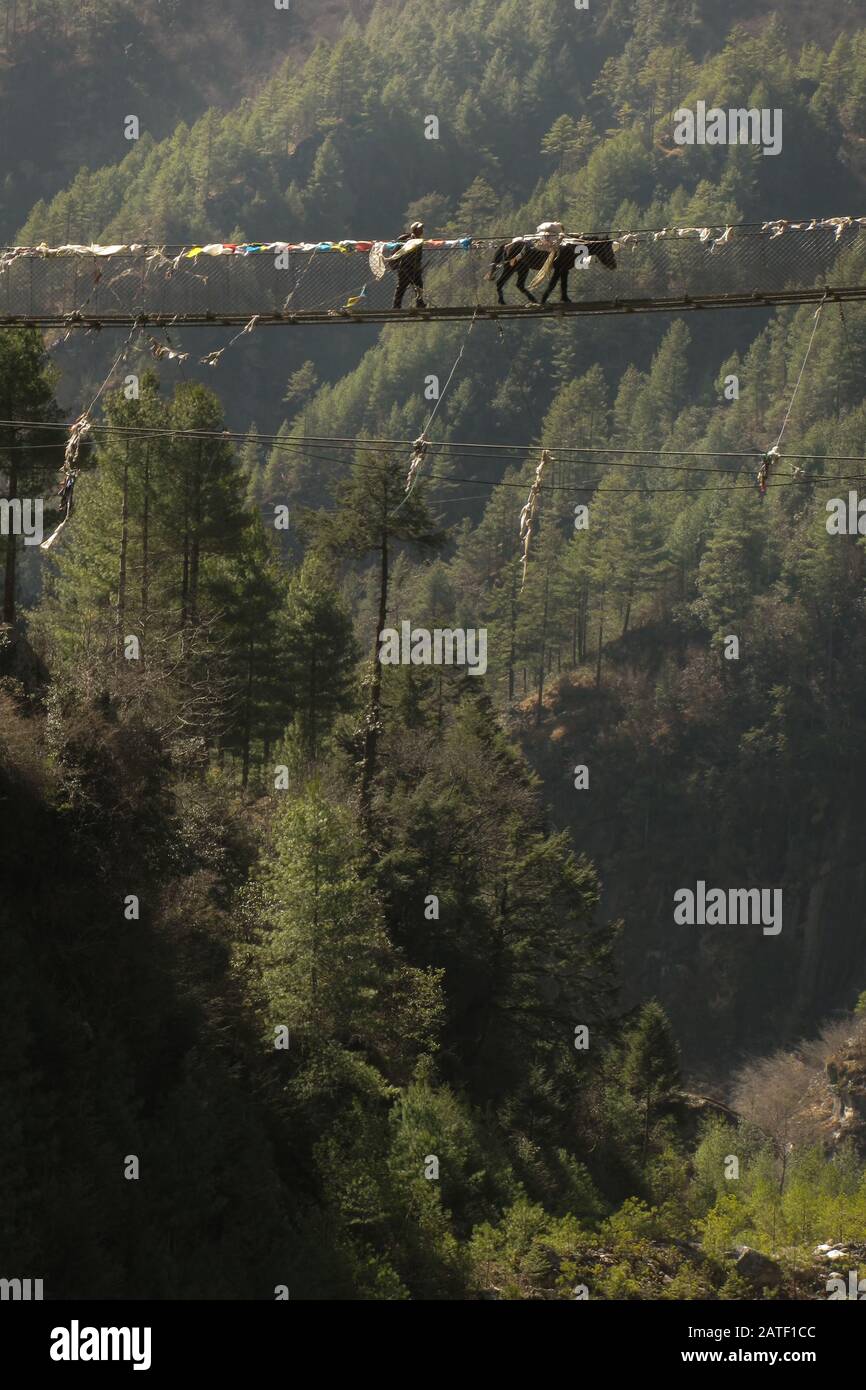 Donkey bridge hi-res stock photography and images - Alamy