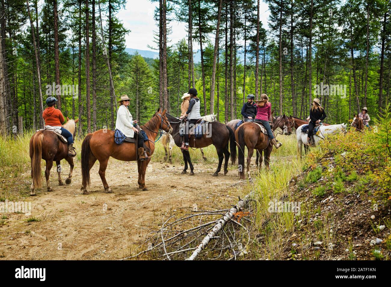 Best Places To Ride Horses In Montana at Ava Oshaughnessy blog