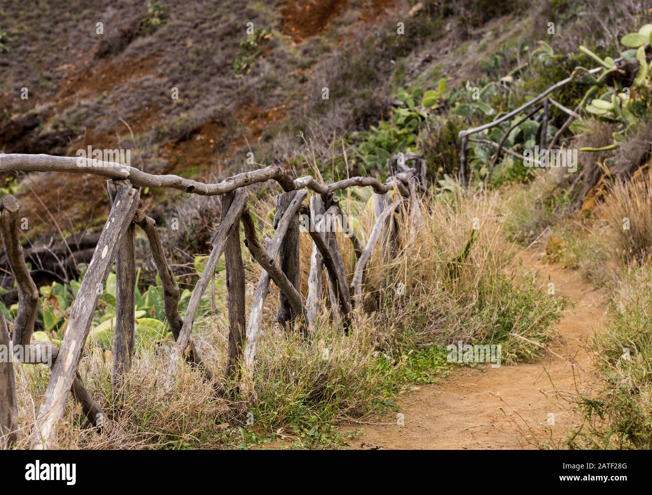 Walking trail in the mountain with handmade wooden railings, picture ...