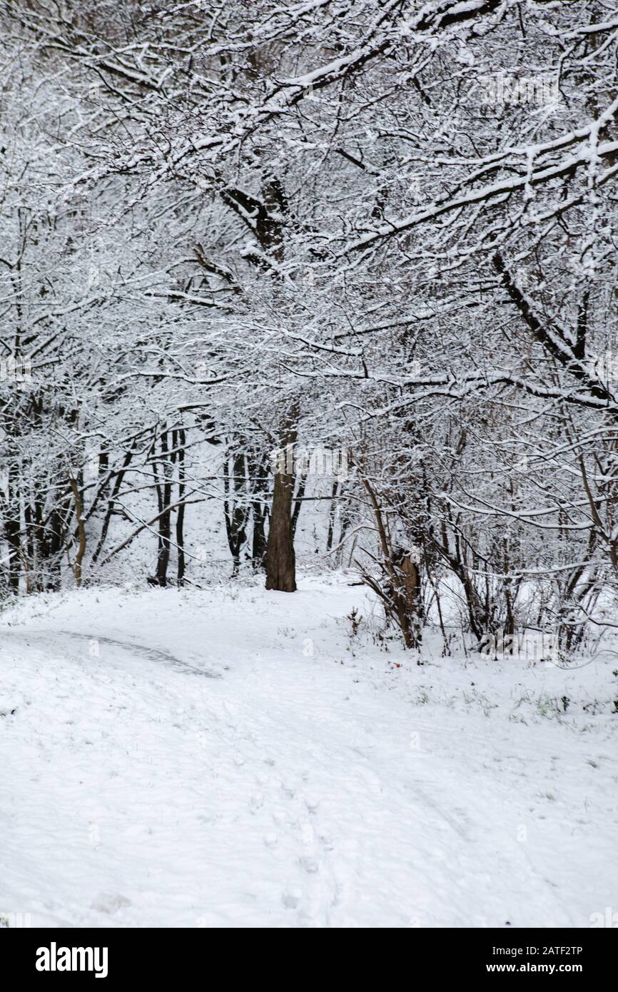 Snowed trail hi-res stock photography and images - Alamy