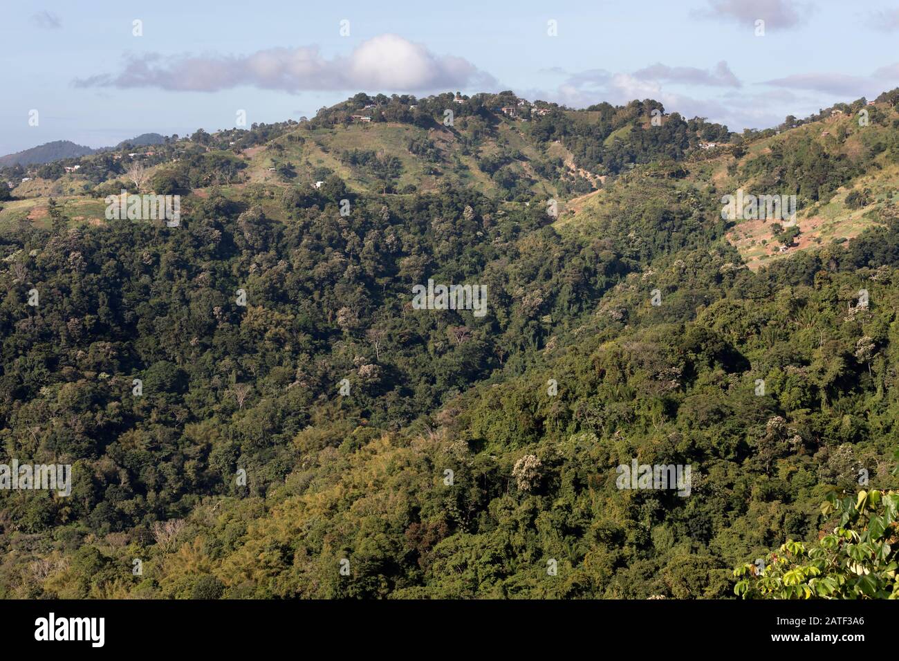 Hills in the Maraval neighborhood, Port of Spain, Trinidad & Tobago ...