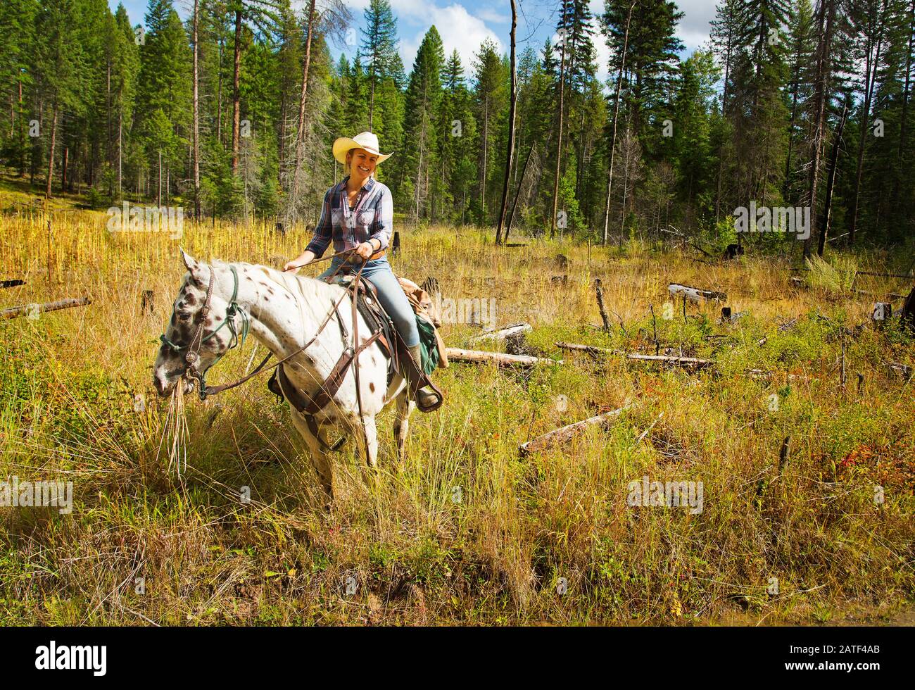 A young woman horse riding in Montana, USA Stock Photo - Alamy
