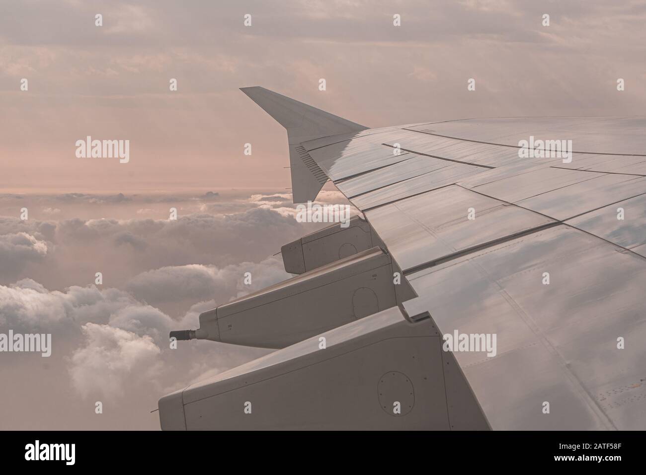 airplane wing through the airplane window Stock Photo - Alamy