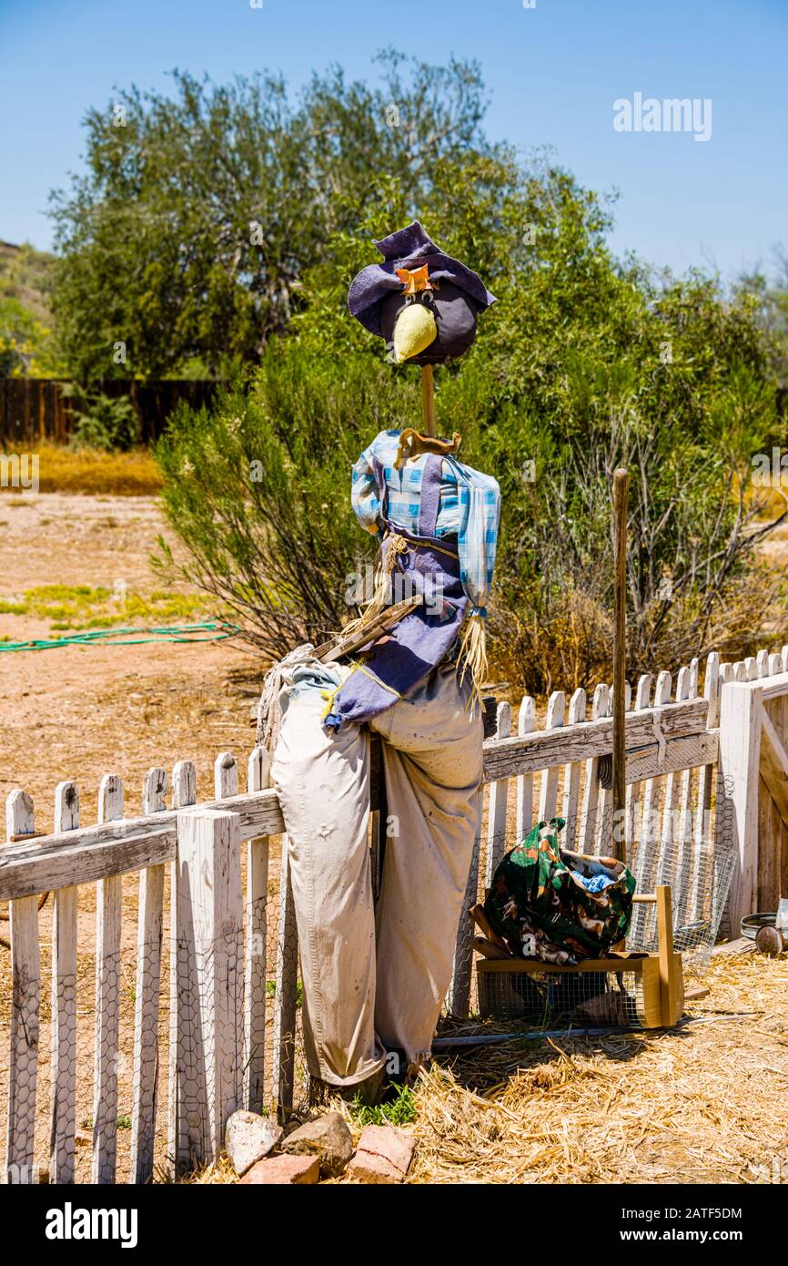 Victorian scarecrow hi-res stock photography and images - Alamy