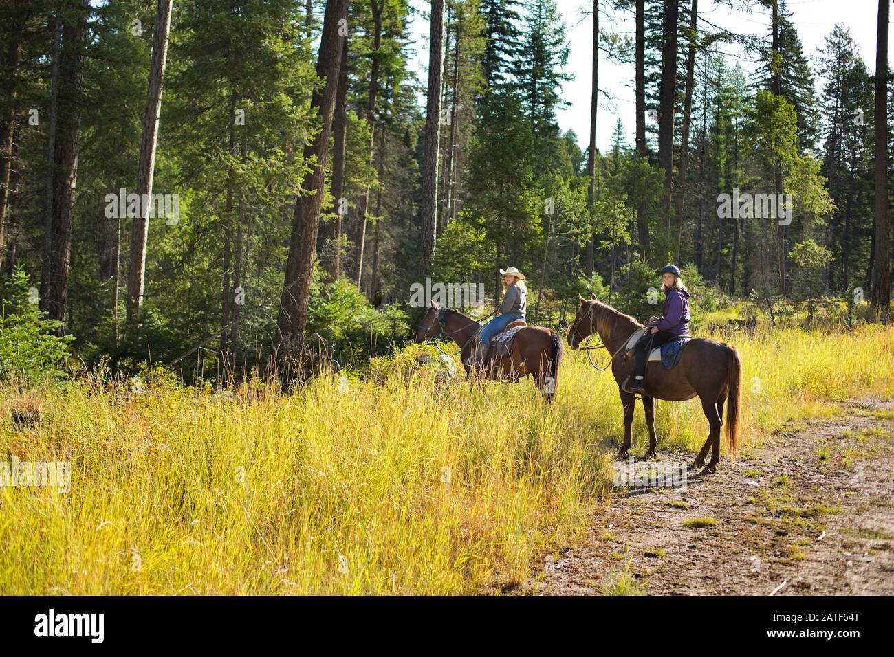 Horse back riding in Montana,USA Stock Photo - Alamy