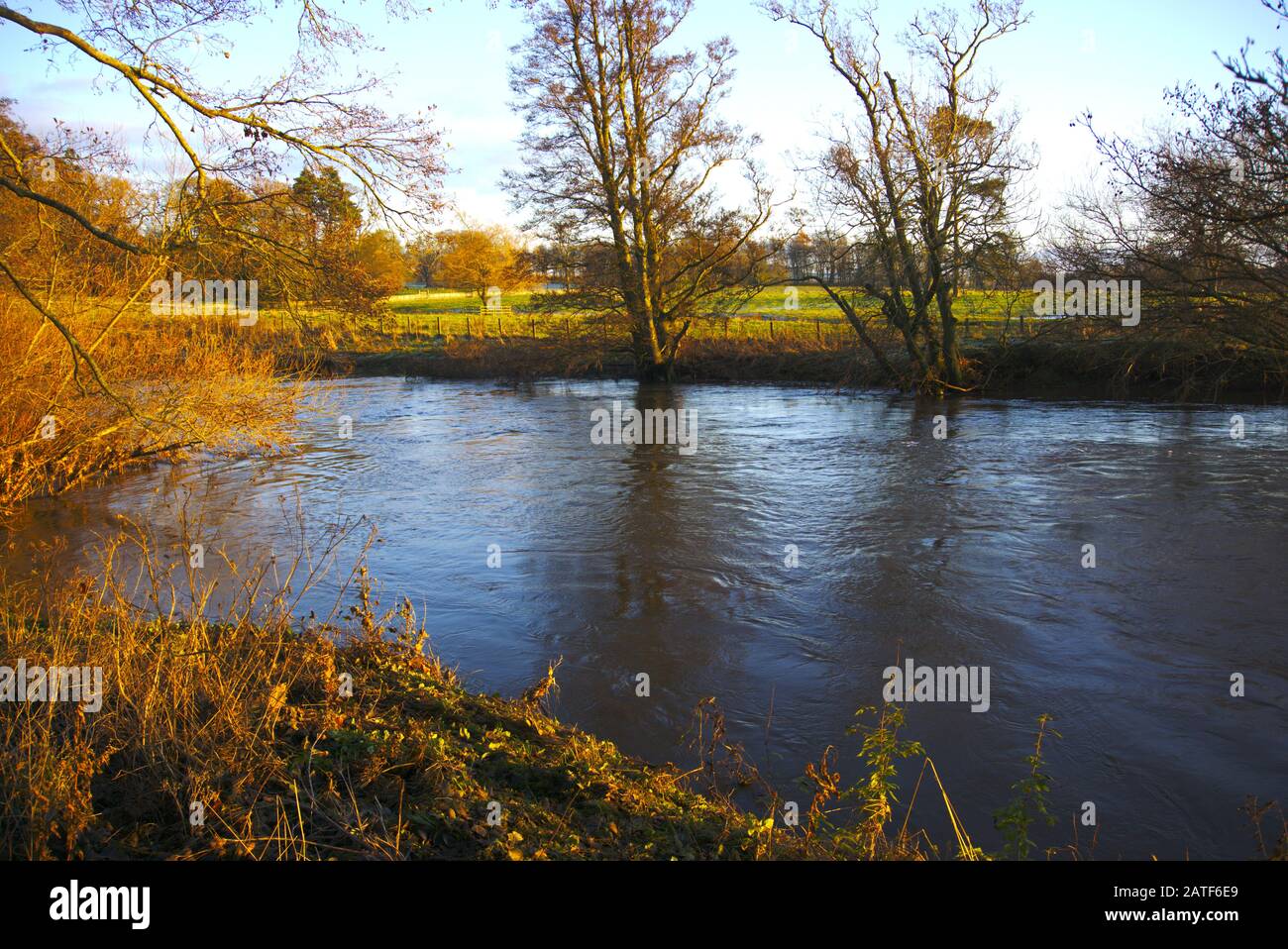 River Till at its closest point to the village of Ford, Northumberland ...