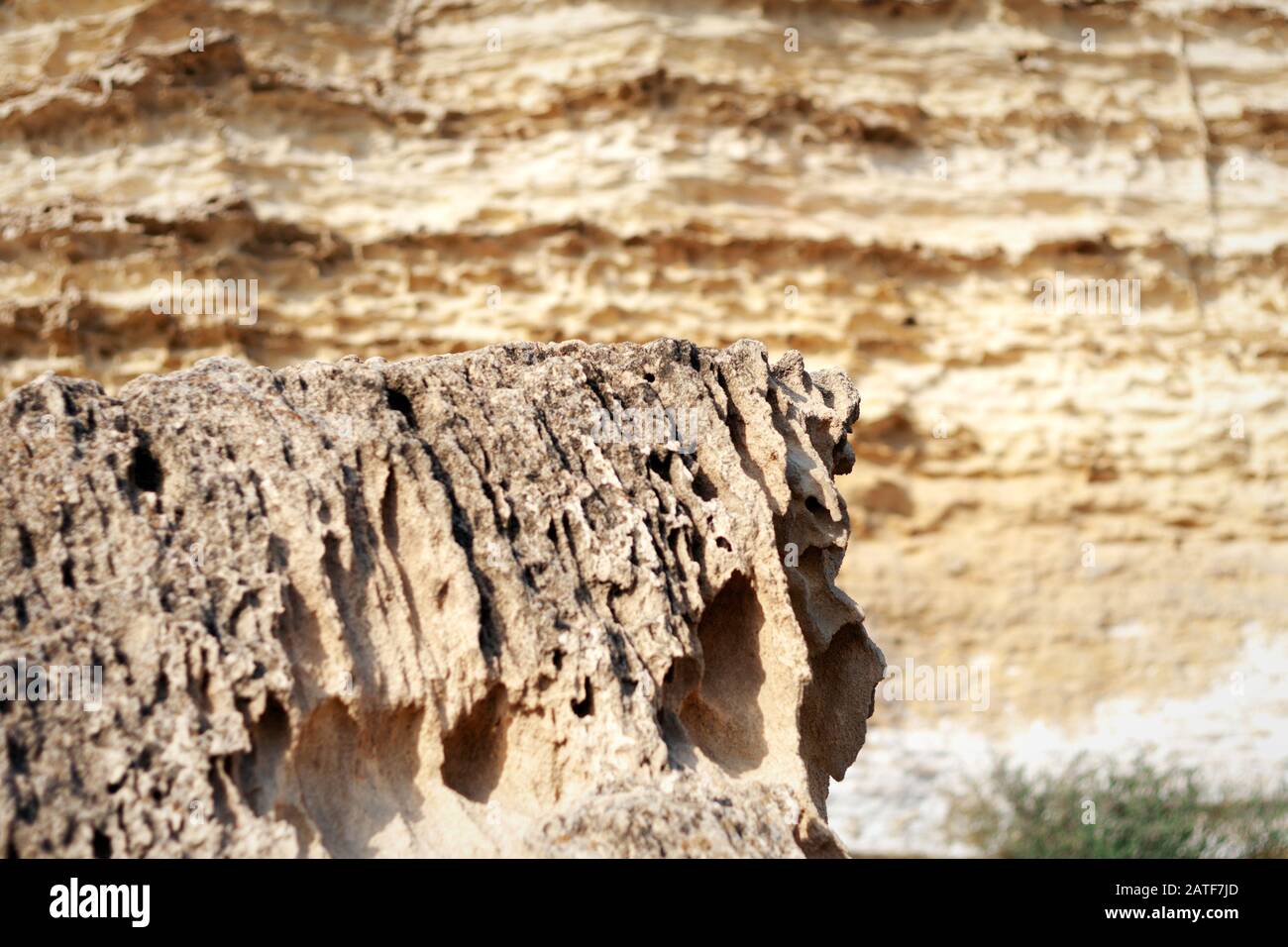Surface sandy rock. Rocky shore of the Caspian Sea Stock Photo - Alamy