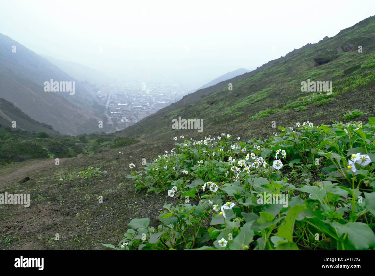 Stationary wallpaper hi-res stock photography and images - Alamy